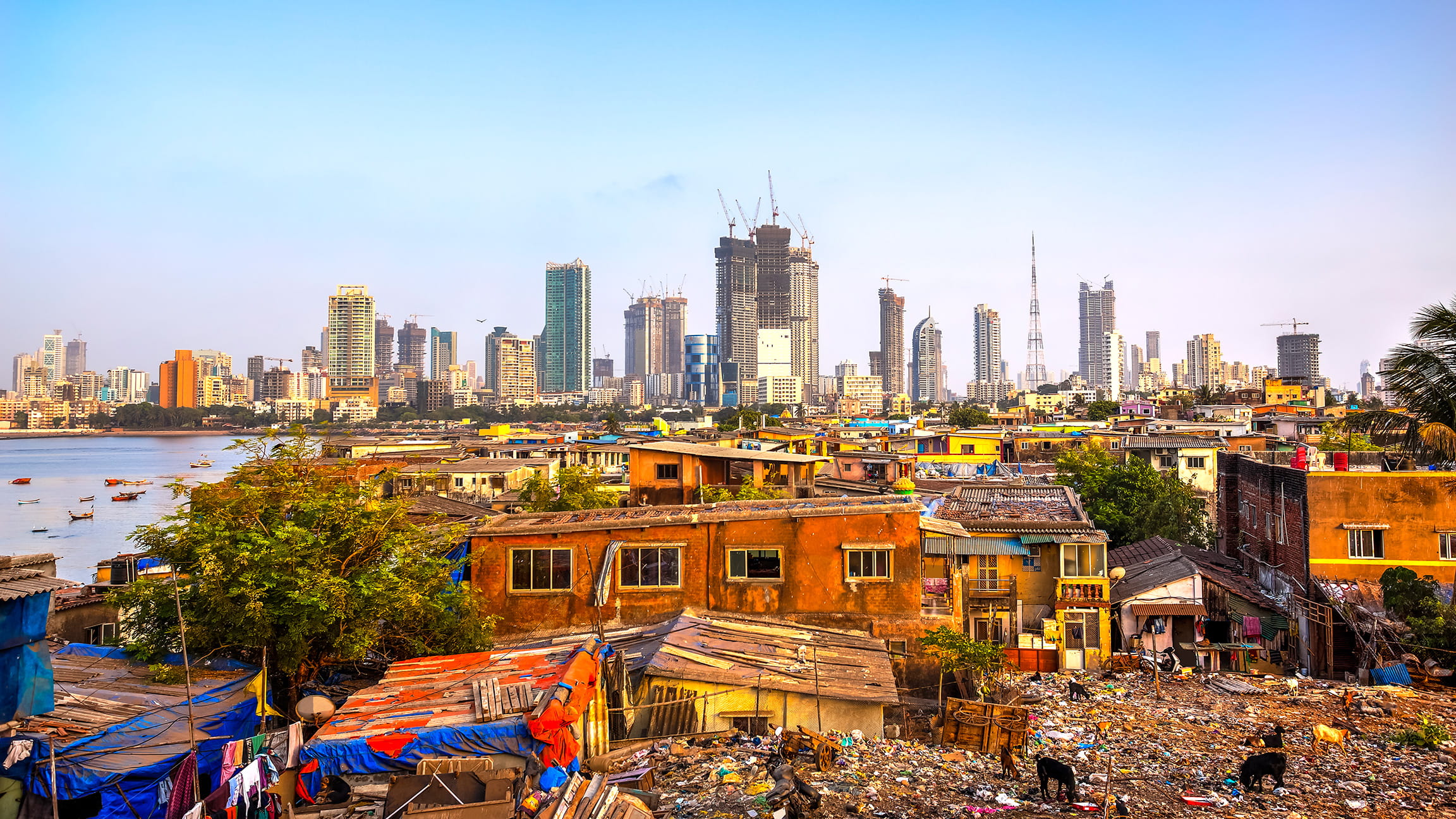 How to repair economic inequality