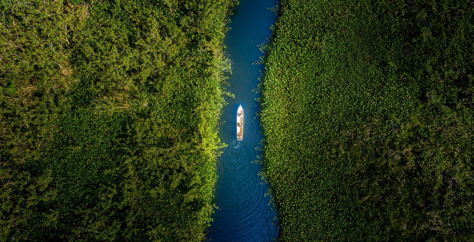 Theme 3: The sovereignty of climate | AllianzGI