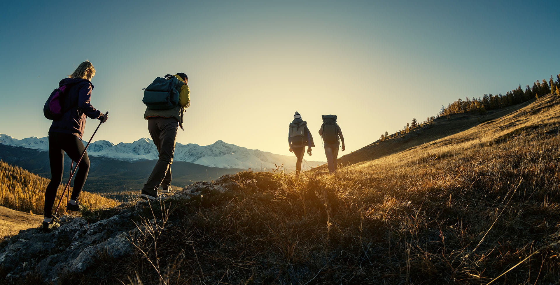 Active strategies in old-age provision | Allianz Global Investors